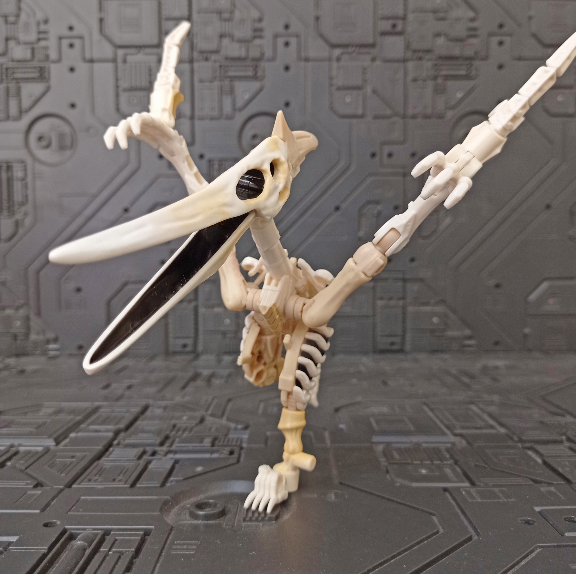 Foto Reseña: Transformers War For Cybertron Kingdom WFC-K25 Deluxe ...