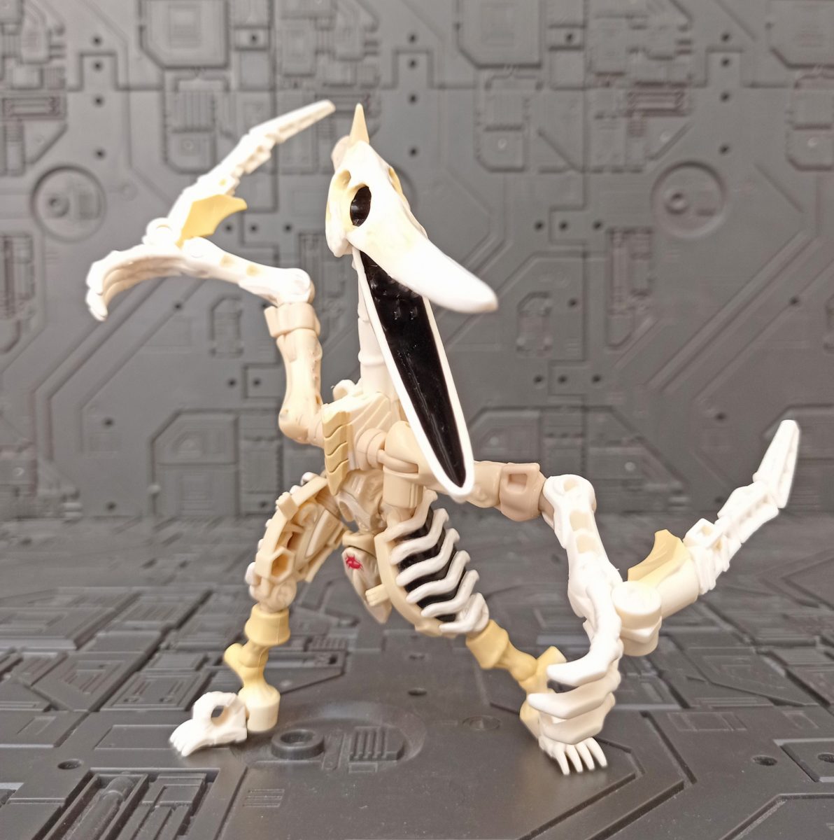 Foto Reseña: Transformers War For Cybertron Kingdom WFC-K25 Deluxe ...